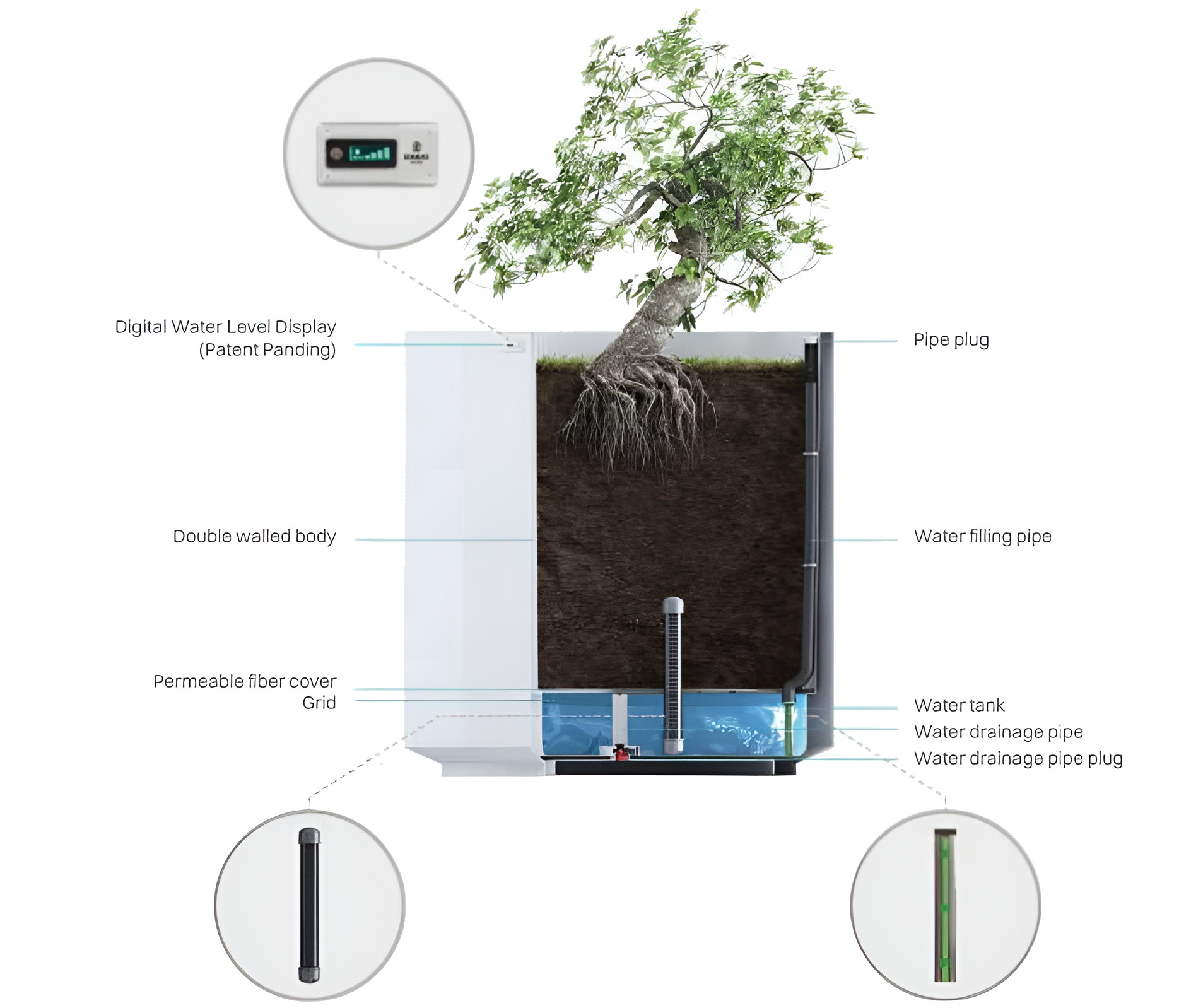 Pots & Planters | Main